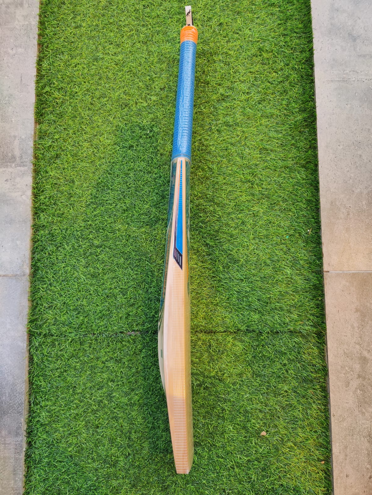 PROTOS THUNDER ENGLISH WILLOW – Oneup Sports